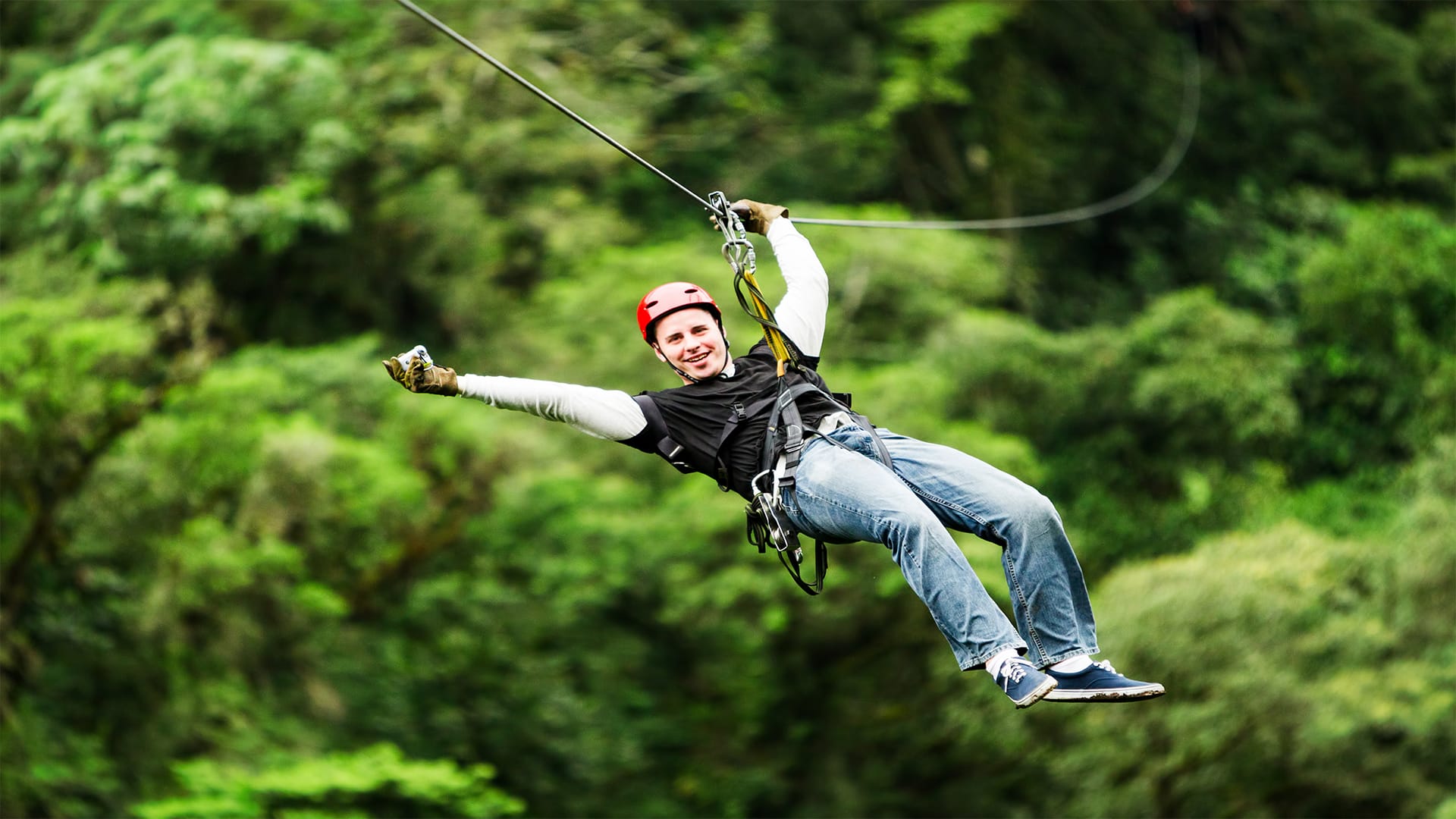Nouméa, New Caledonia Tree Top Canopy Adventure Excursion | Norwegian ...