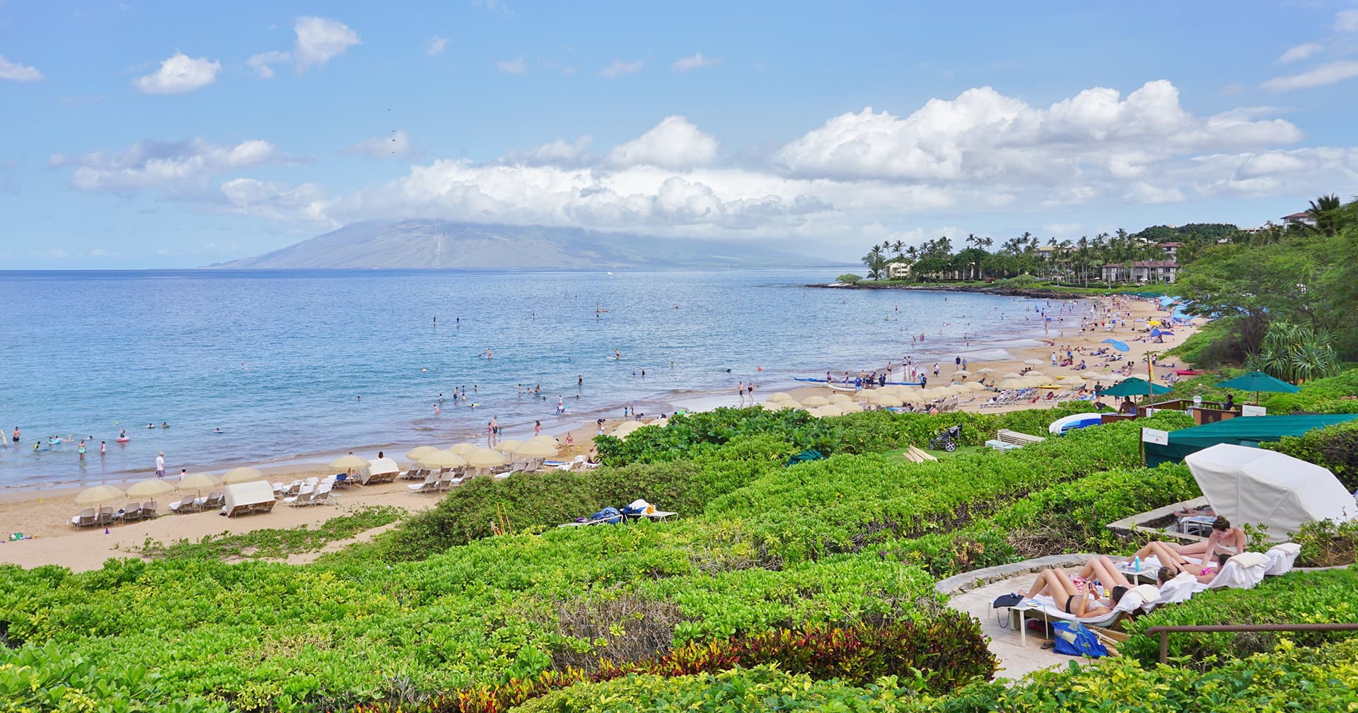 Kahului, Maui Exclusive Maui Beach Day Excursion | Norwegian Cruise Line