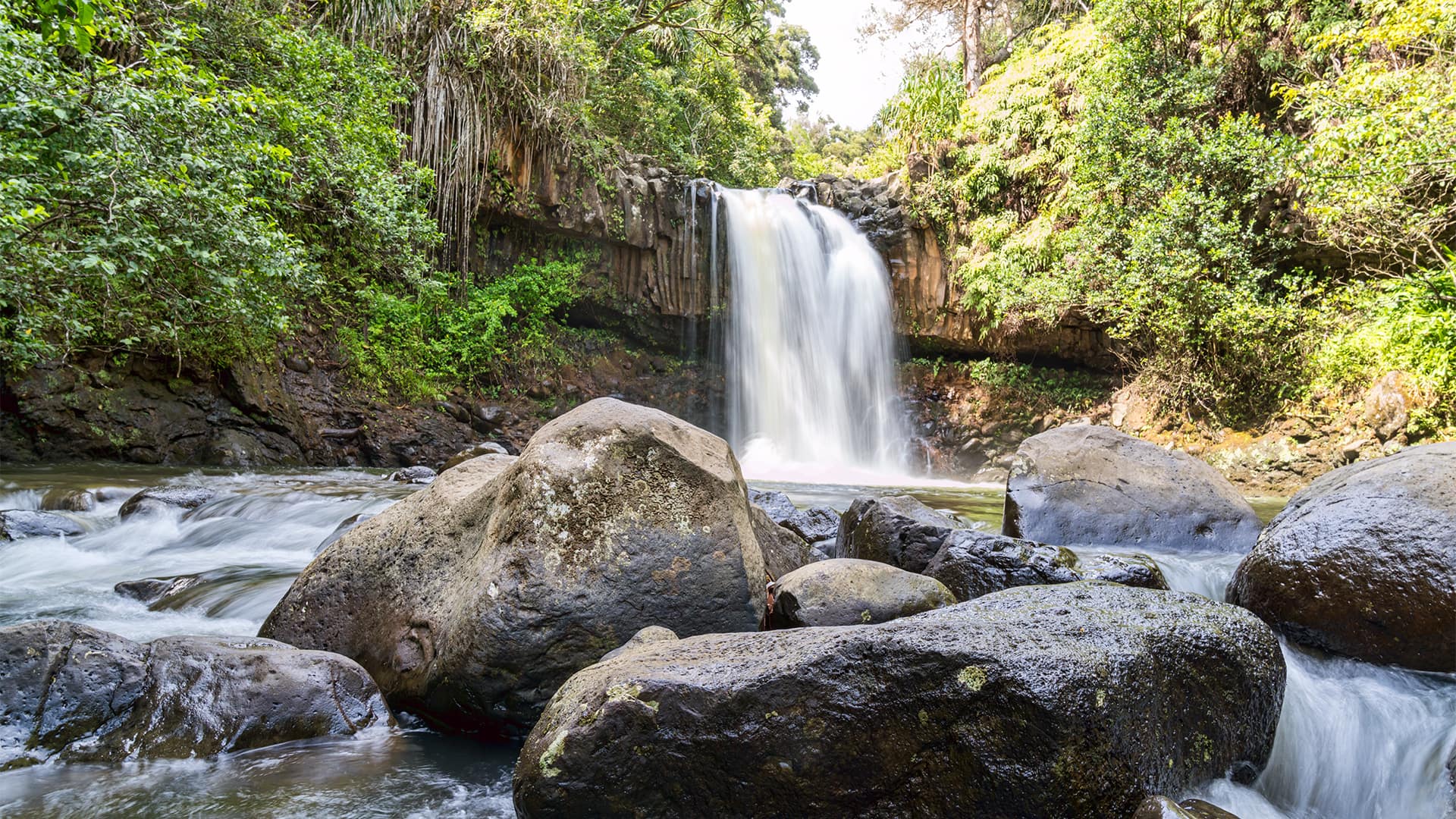 Kahului, Maui Pa'ia Town & Twin Falls Rainforest Experience Excursion ...