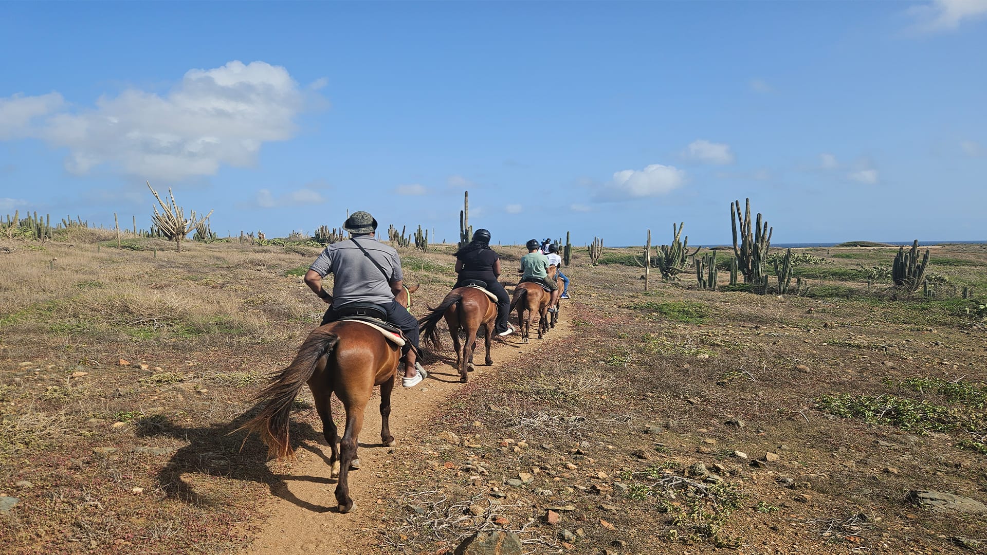 Oranjestad, Aruba Trail & Beach Horseback Riding Excursion | Norwegian ...