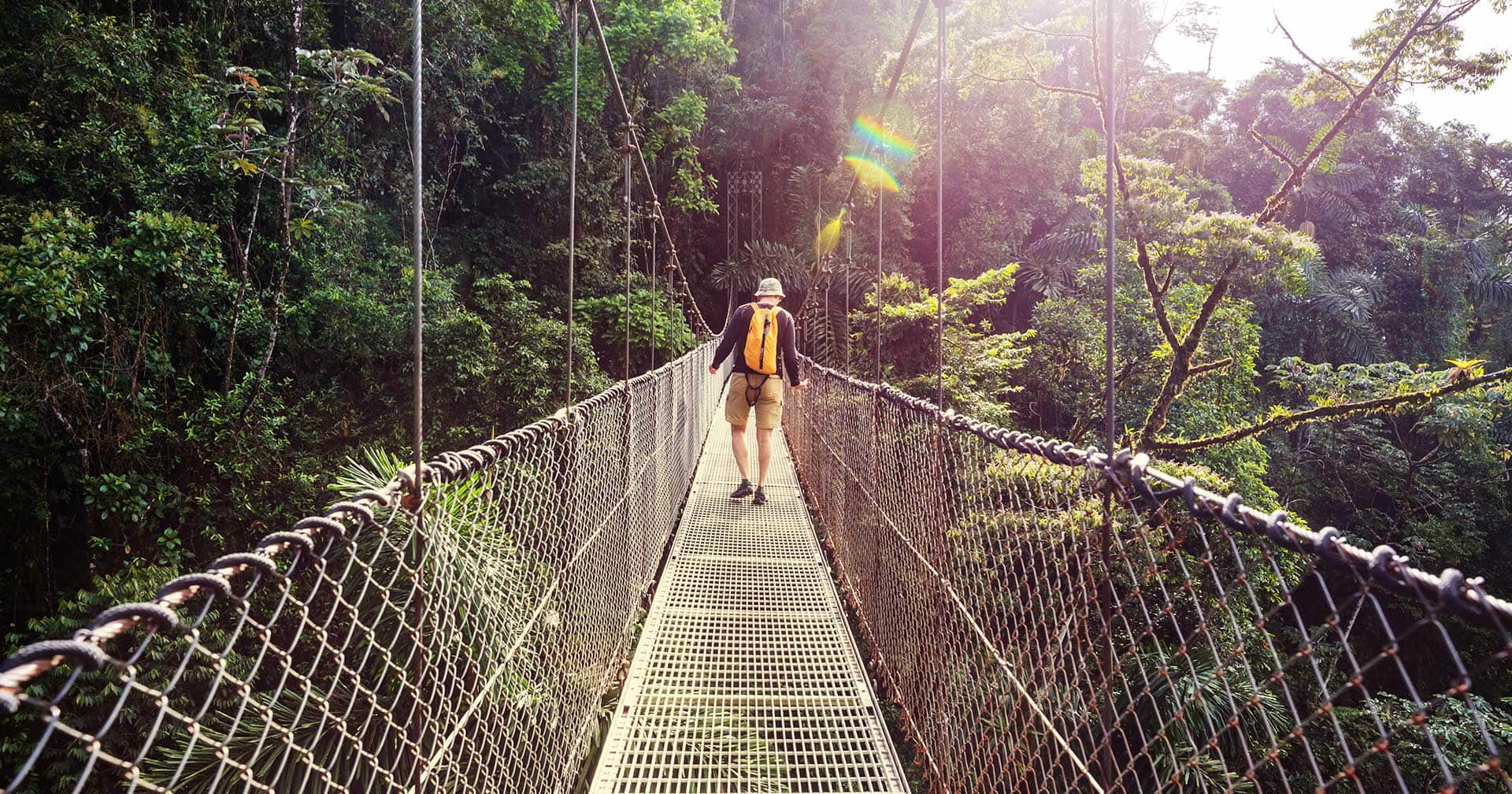 Puntarenas (Puerto Caldera), Costa Rica Forest Sky Walk & Butterfly ...