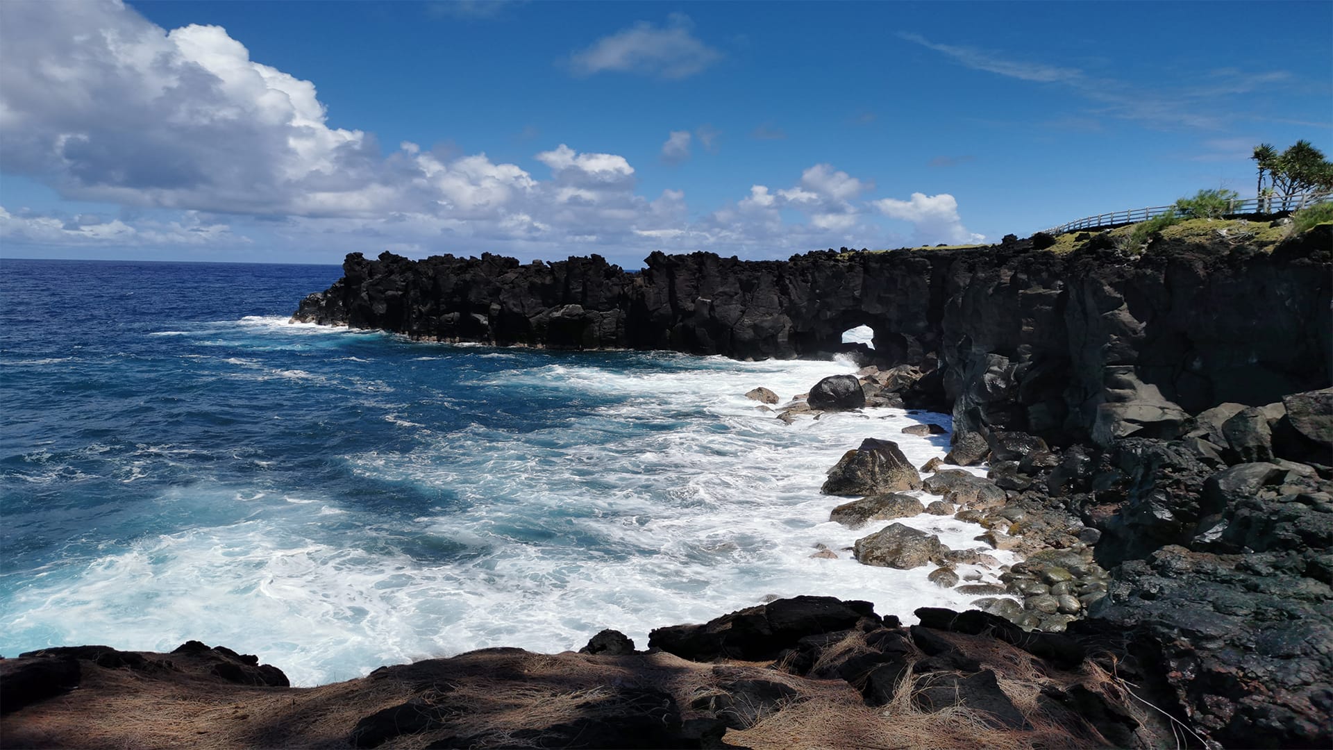 Pointe Des Galets, Reunion Vistas & Volcanoes Excursion | Norwegian ...
