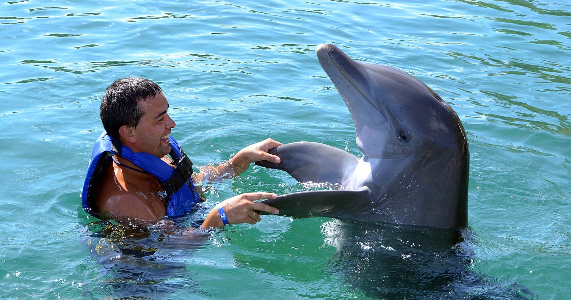 Puerto Plata, Dominican Republic Dolphin Swim & Ocean World Adventure ...
