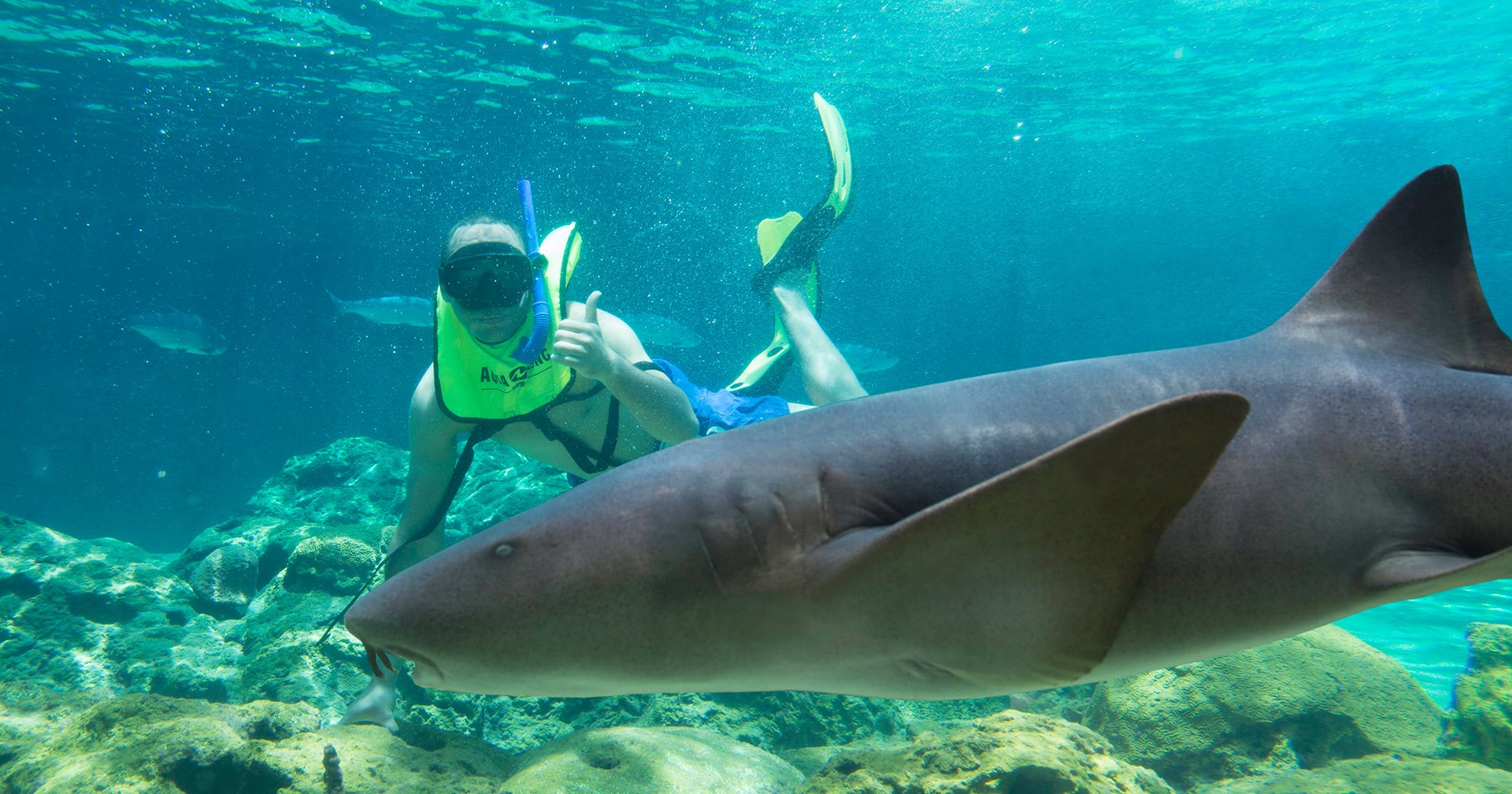 Puerto Plata, Dominican Republic Shark Encounter & Ocean World ...