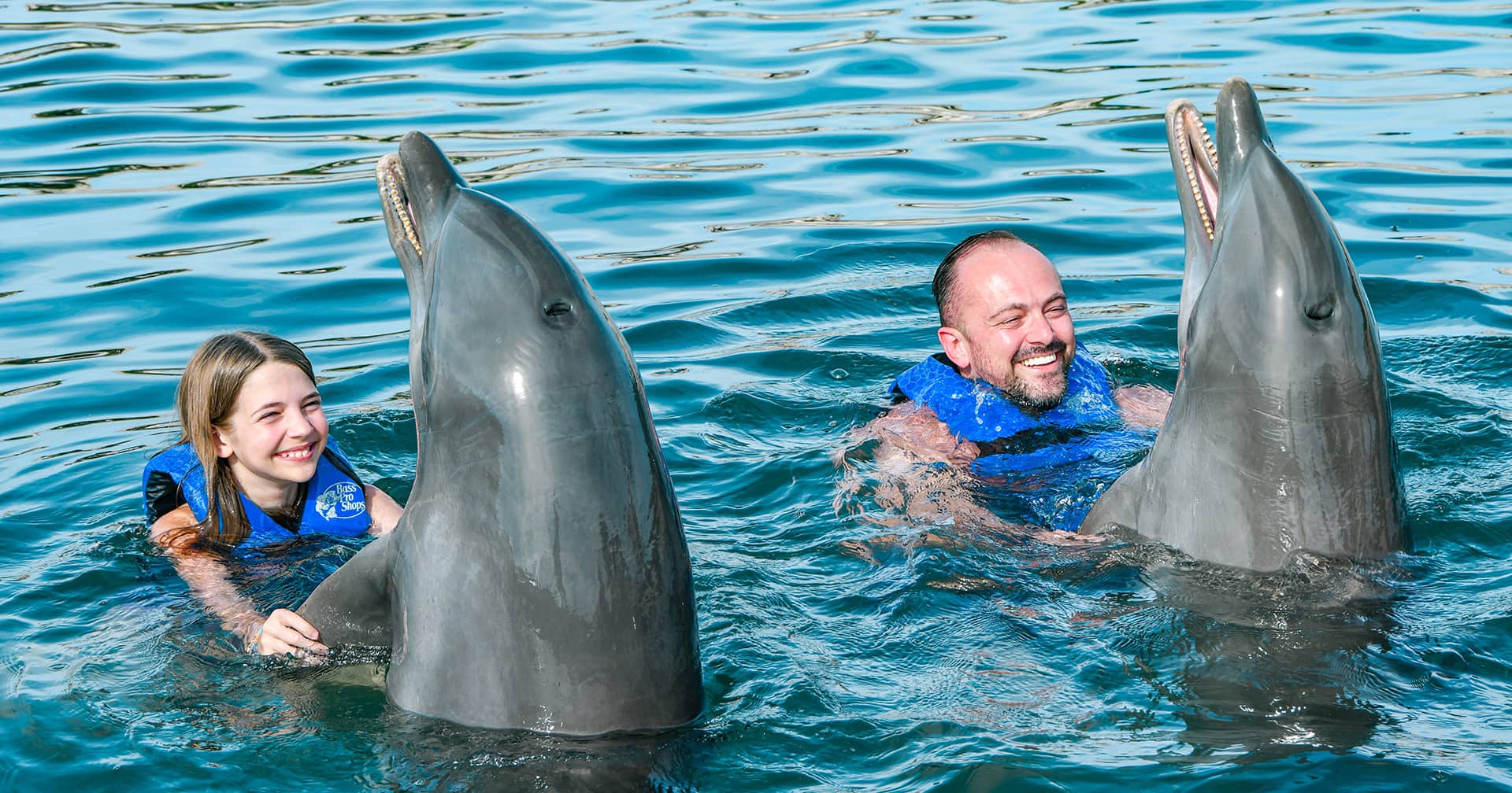 Puerto Plata, Dominican Republic VIP Dolphin Swim Adventure Excursion ...