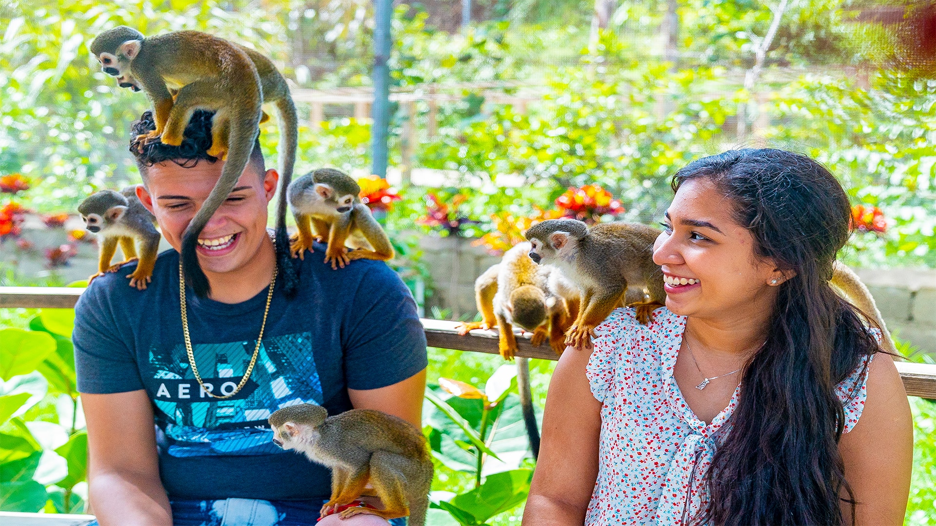 Puerto Plata, Dominican Republic Monkeyland & Dominican Coffee ...