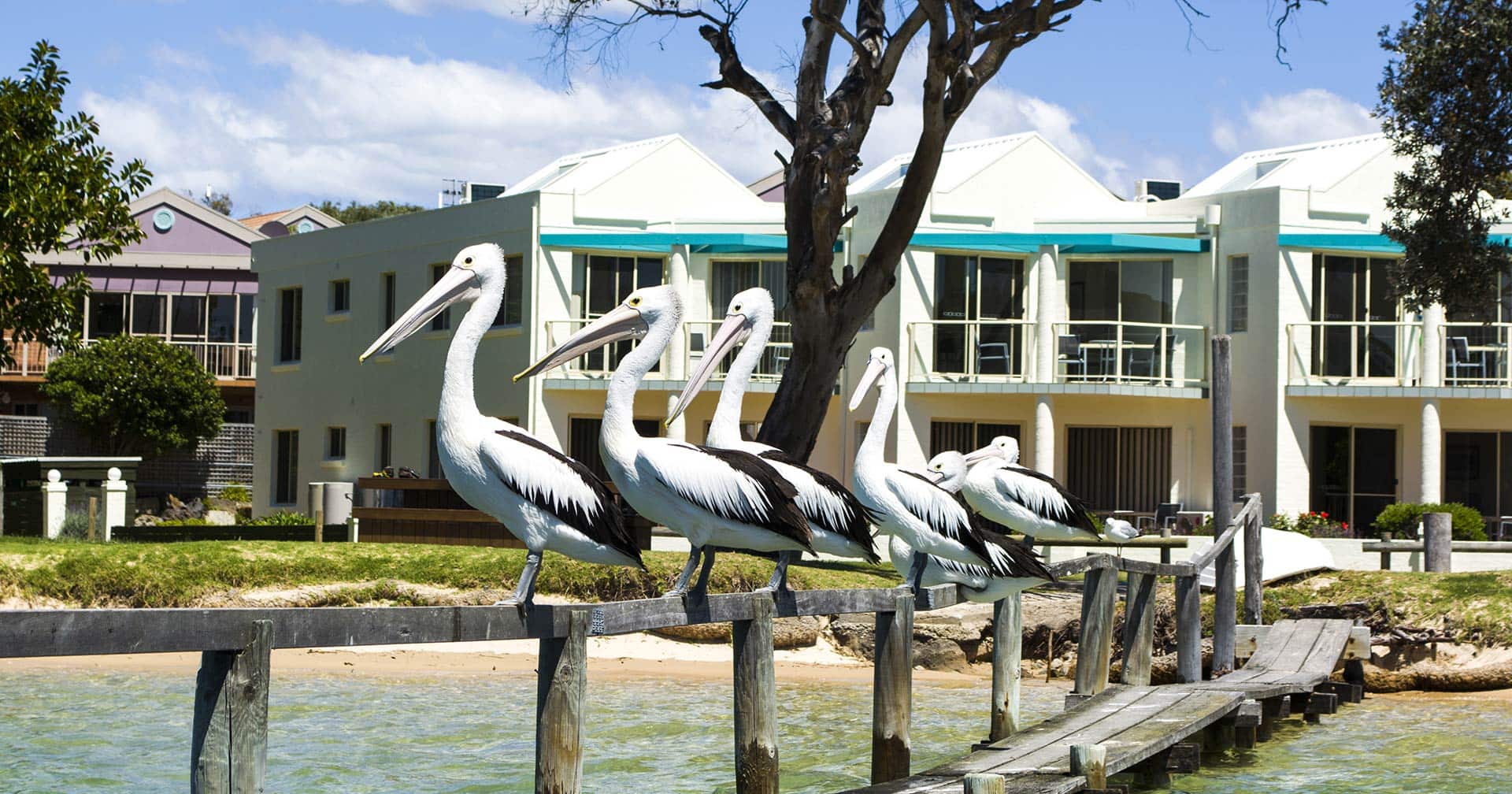 Eden, Australia Scenic Villages Of The Sapphire Coast Excursion | ノルウェー ...