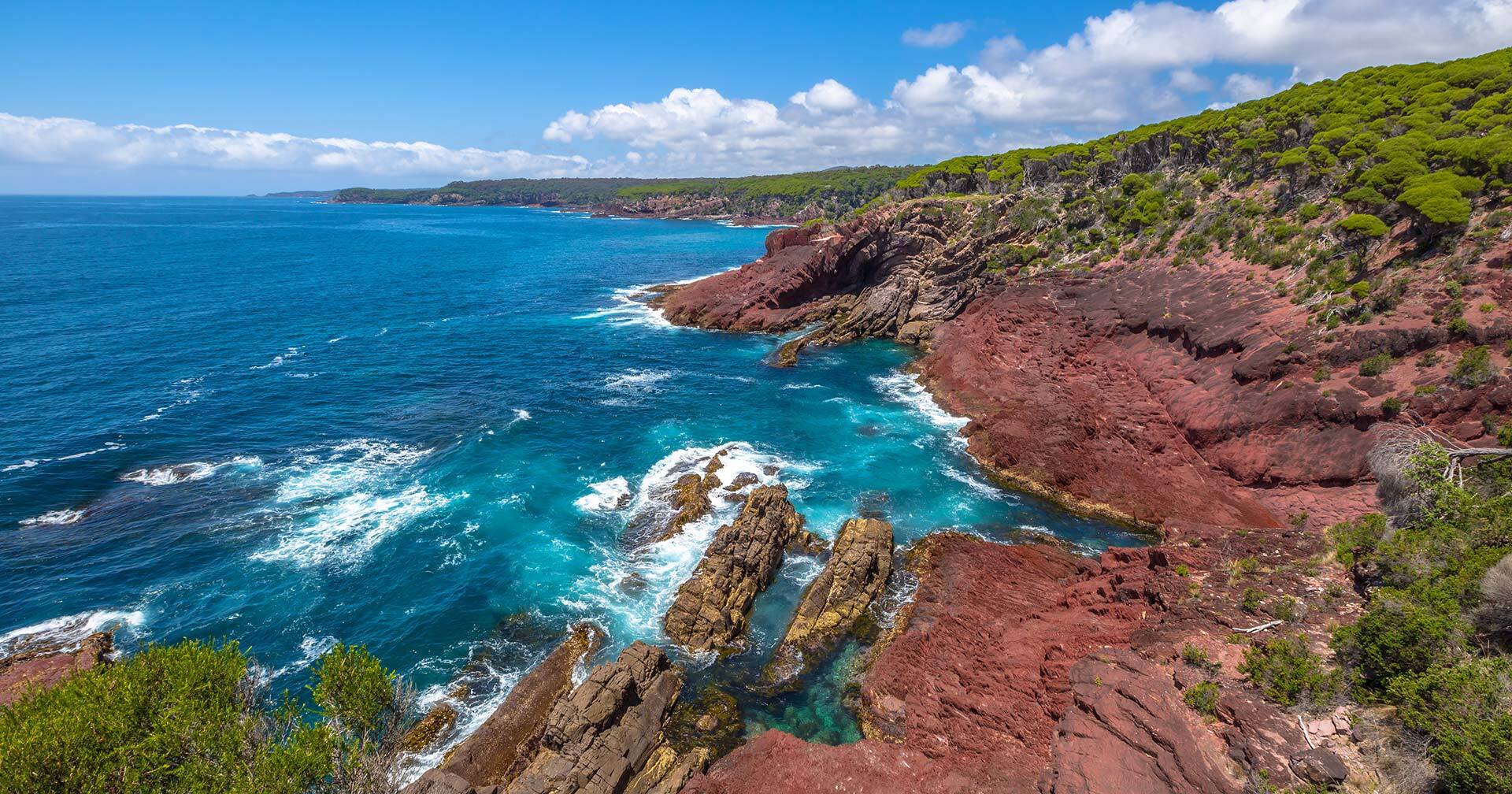 Eden, Australia Beowa National Park & Whaling Station Excursion ...