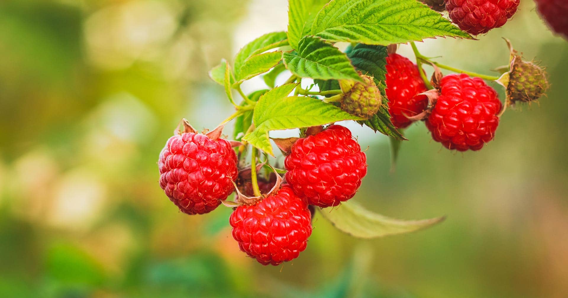 Riga, Latvia Go Local - Visit to the Local Farmhouse Excursion ...