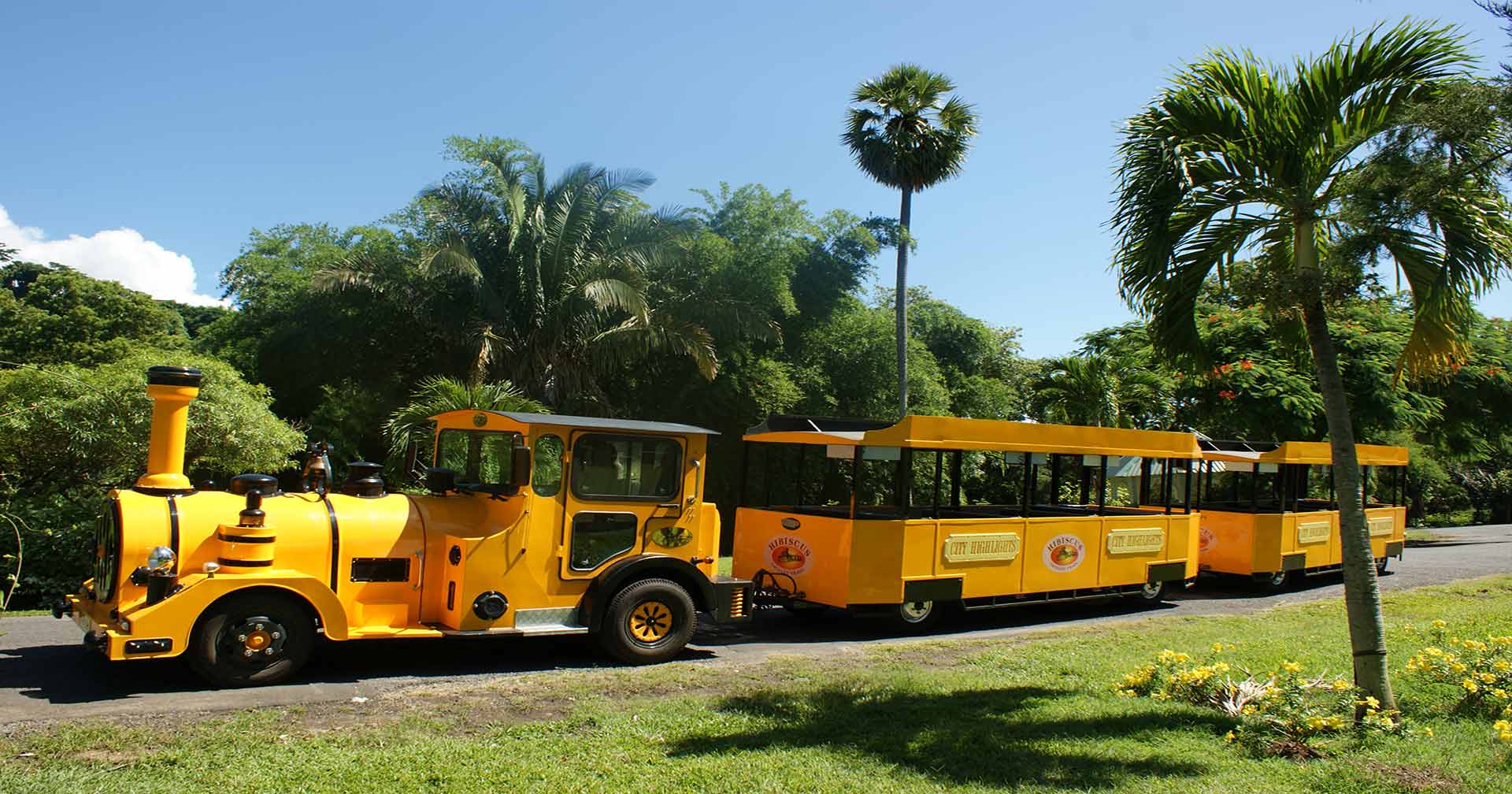 Roseau, Dominica Roseau Highlights by Trolley Train Excursion ...