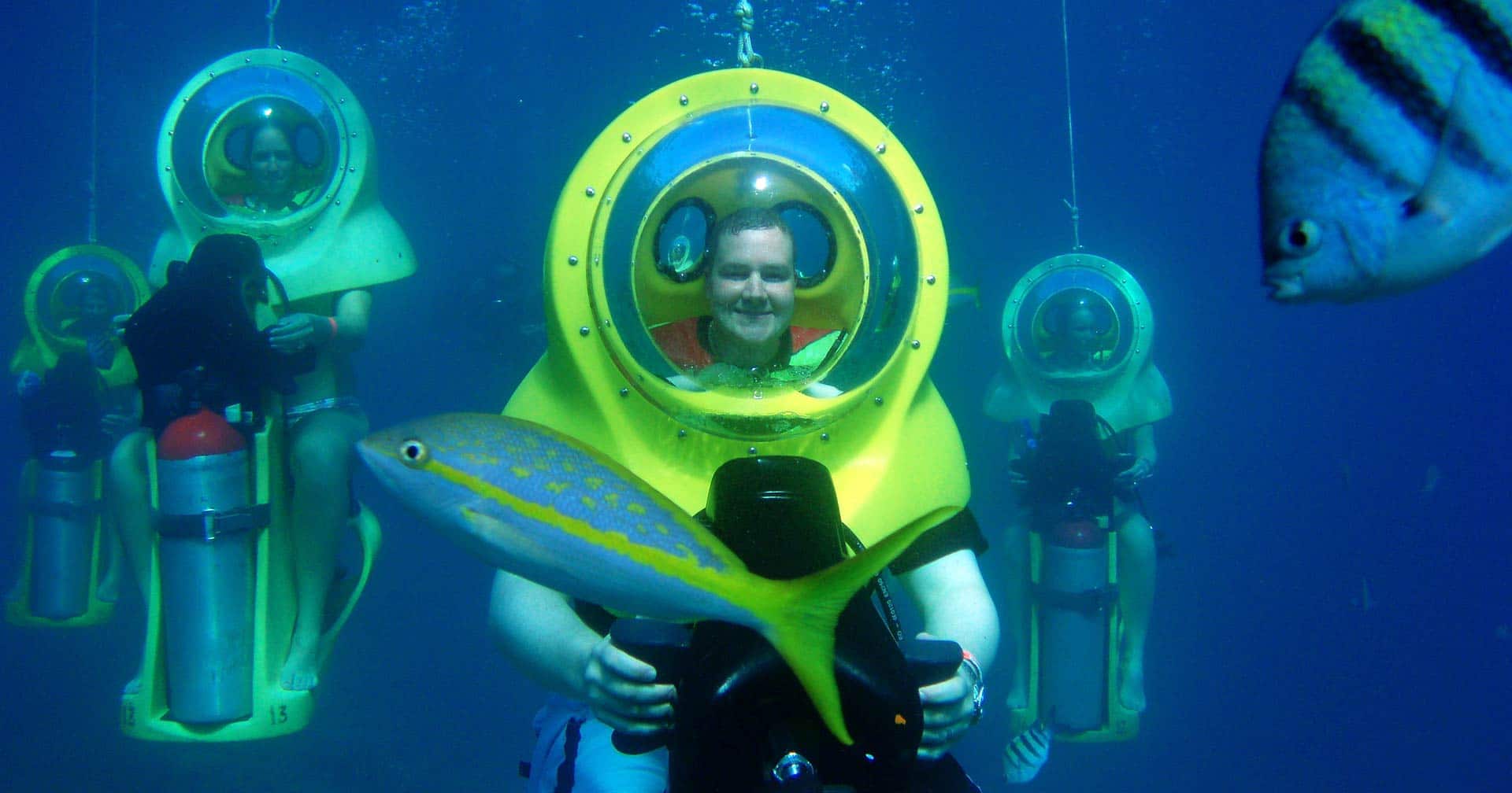 Roatán (Bay Islands), Honduras Boss Underwater Adventure Excursion ...