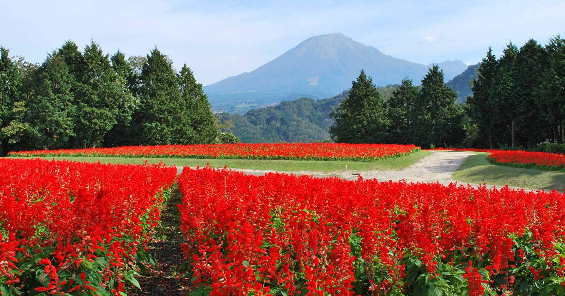 Sakaiminato, Japan Tottori Flower Park & Views Excursion | Norwegian ...