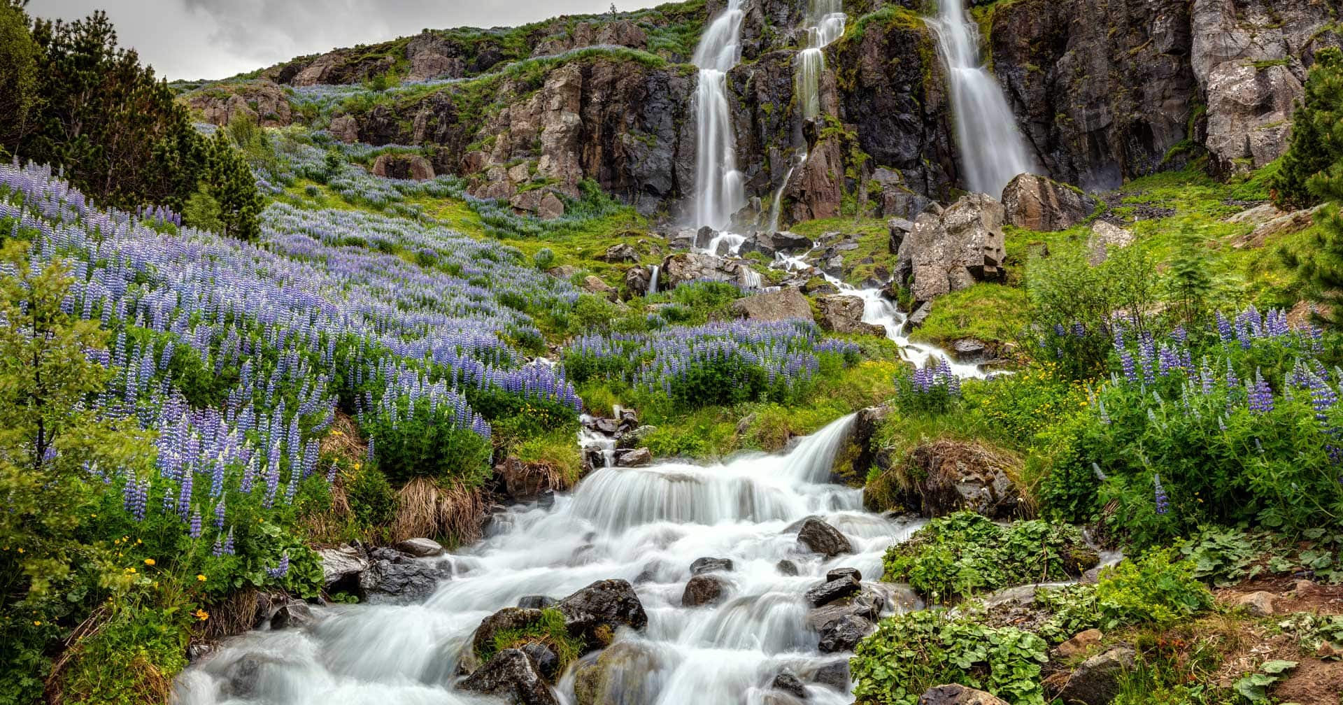 Seydisfjordur, Iceland Chasing Waterfalls Excursion | Norwegian Cruise Line