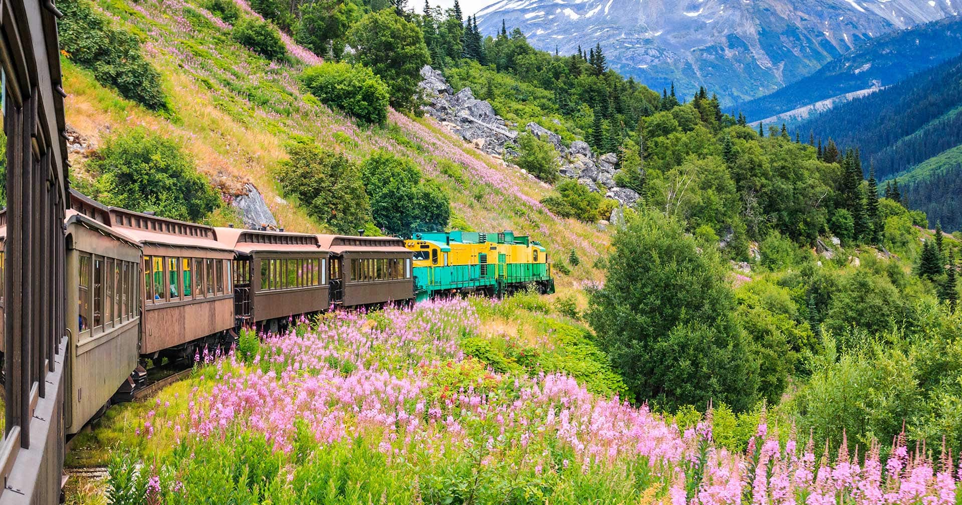 Skagway, Alaska White Pass Bennett Lake & Yukon Adventure Excursion ...