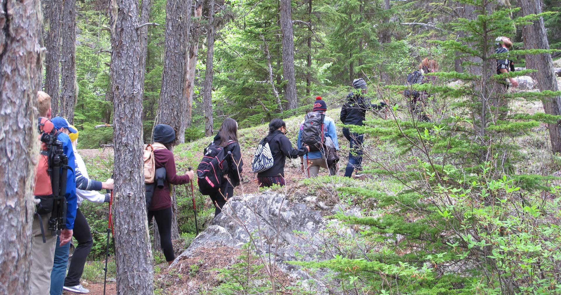 Skagway, Alaska Skagway Adventure Hike Excursion | Norwegian Cruise Line