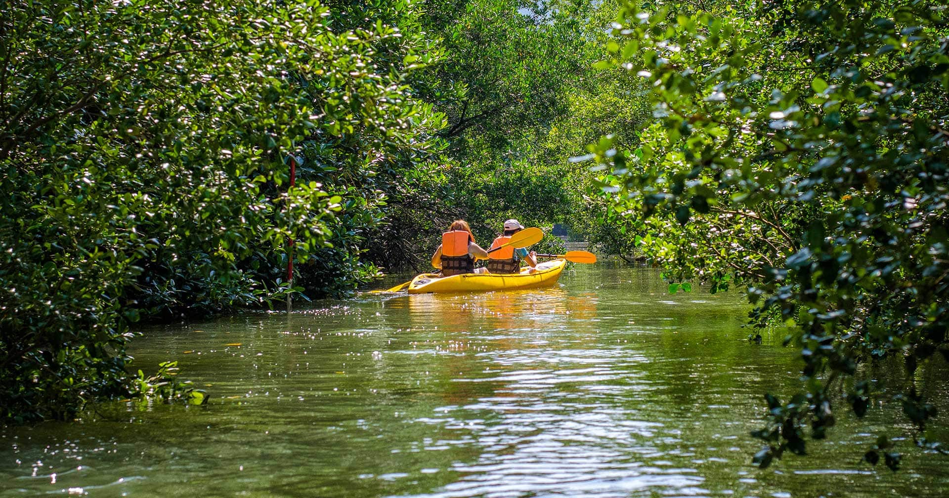 Sihanoukville, Cambodia Kayaking Ream Park Mangrove River Excursion ...