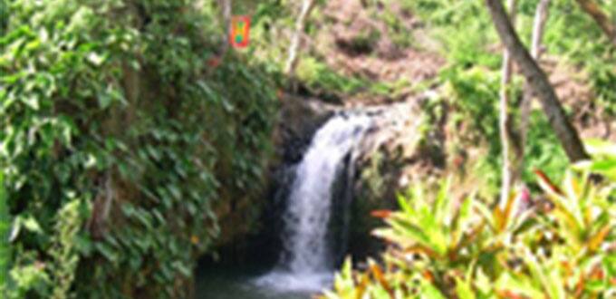 St. George's, Grenada Mountain Rainforest, Grand Etang Lake & Annandale ...