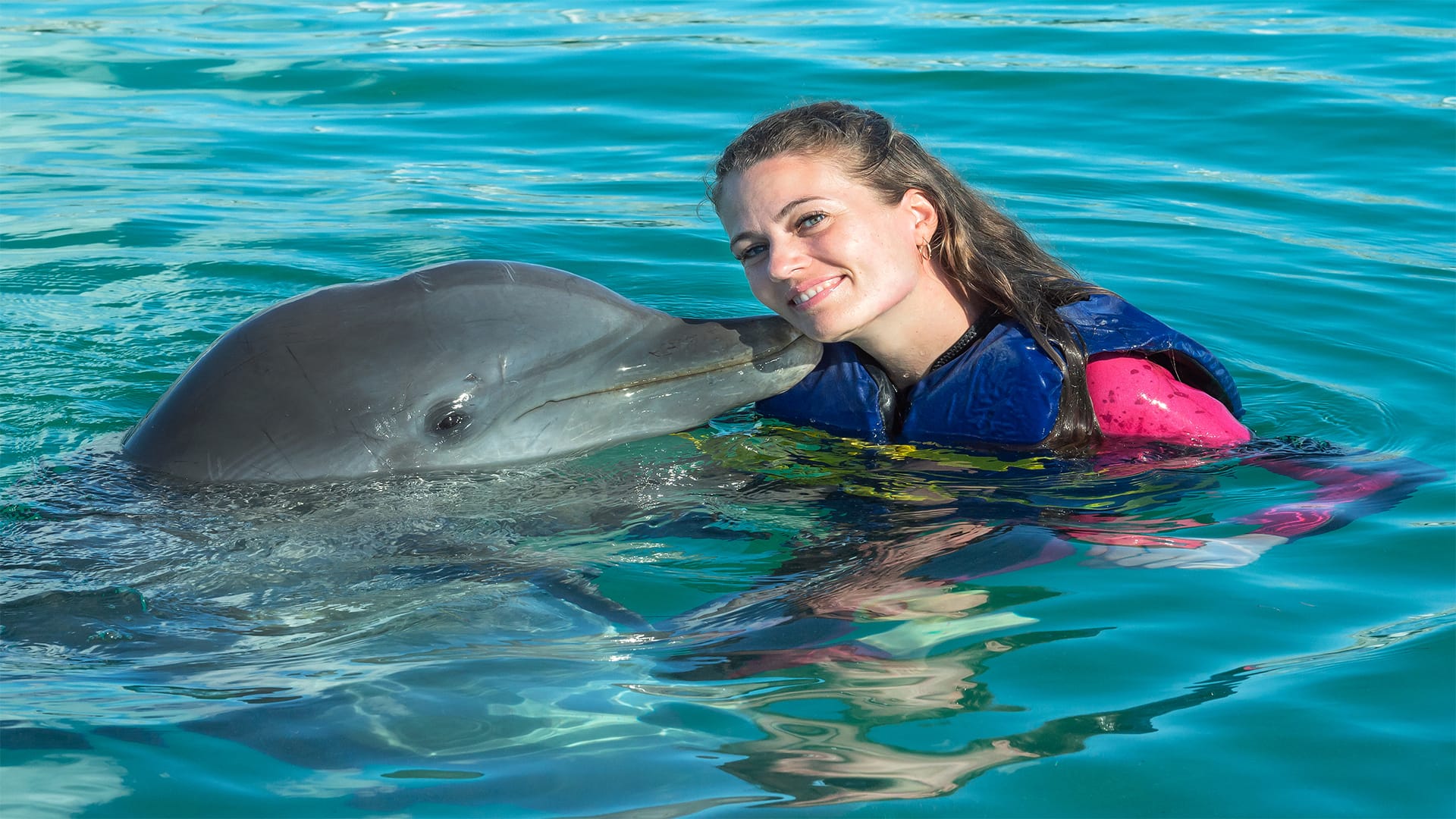 St. Thomas, US Virgin Islands Dolphin Swim And Coral World Excursion ...