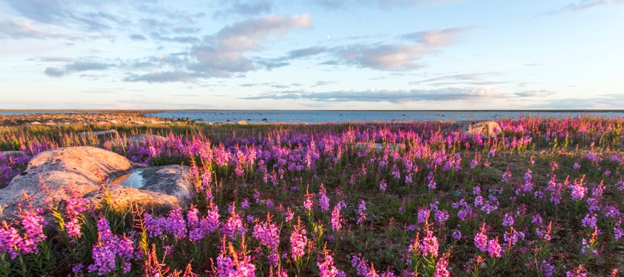 Cruises to Sept-Iles, Canada | Norwegian Cruise Line - NCL