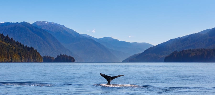 Cruises to Sept-Iles, Canada | Norwegian Cruise Line - NCL