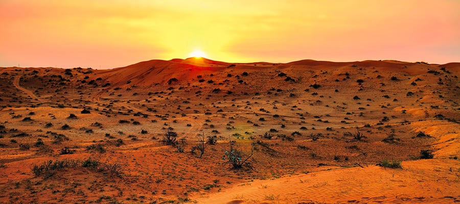 Cruises To Sir Bani Yas, United Arab Emirates | Norwegian Cruise Line - NCL