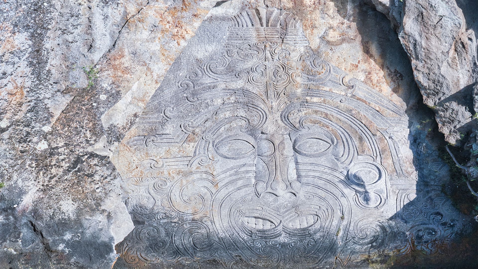 Tauranga, New Zealand Ngati Makino - The Little Tribe That Could ...