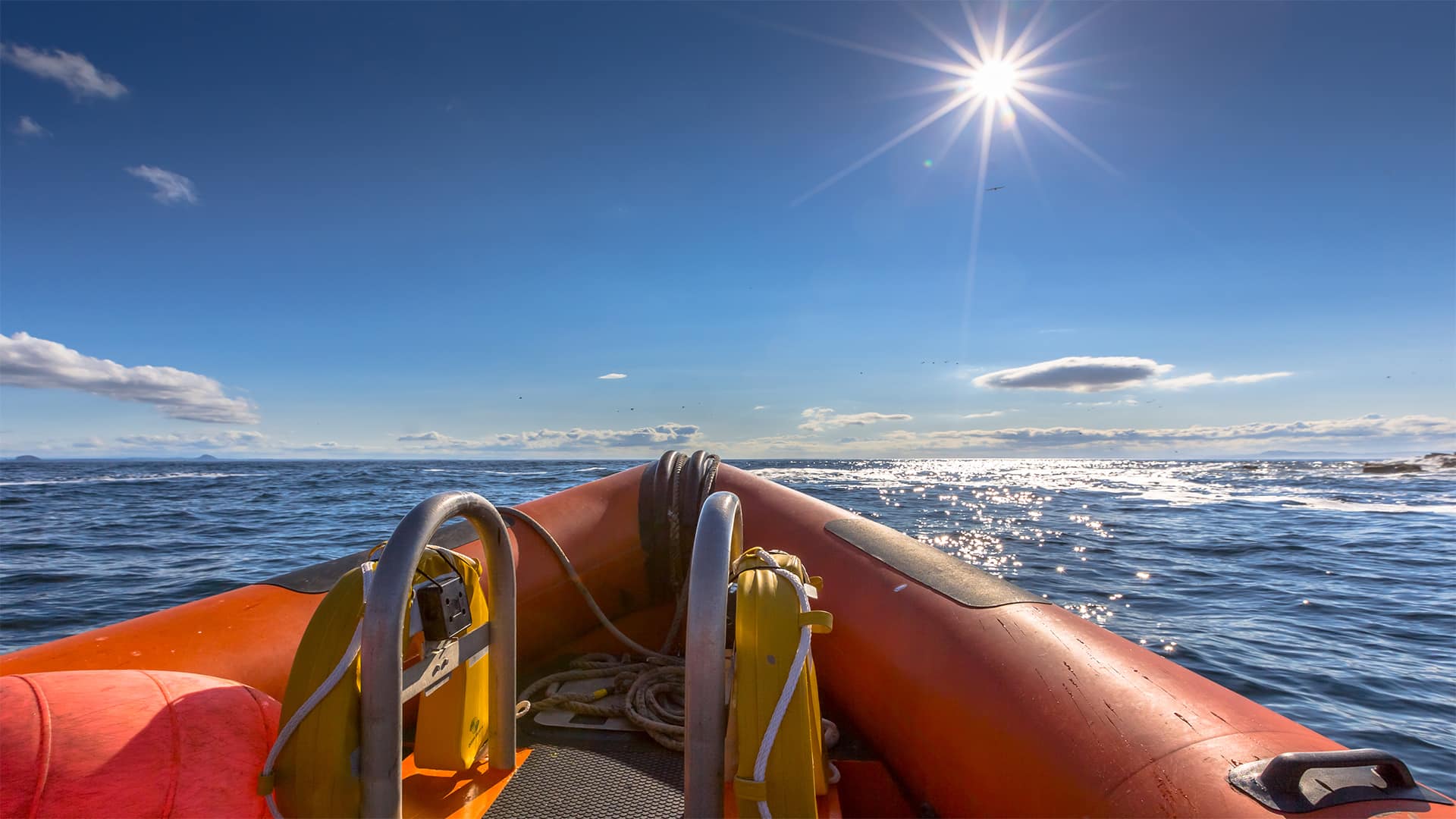 Tortola, British Virgin Islands BVI Rib Adventure (Self Drive Boat ...