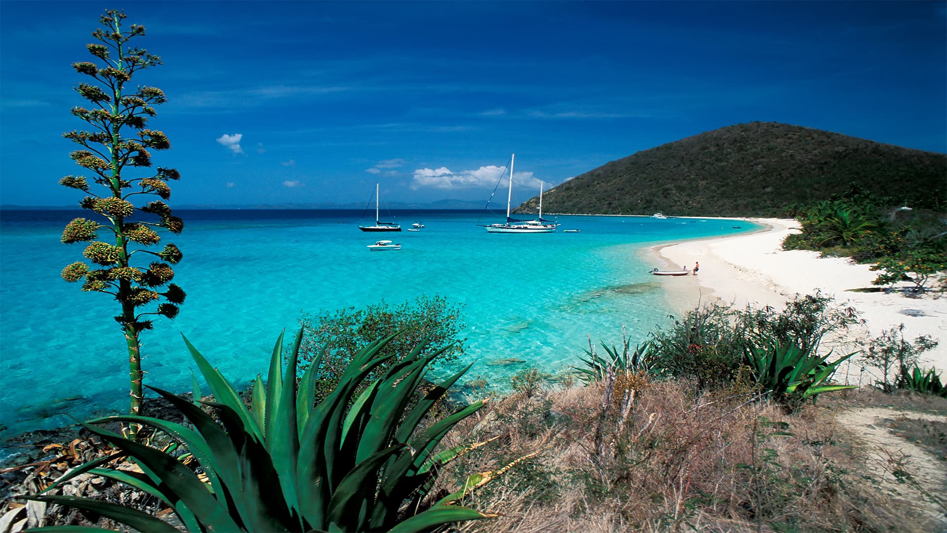 Tortola, British Virgin Islands Romney Beach Escape To Jost Van Dyke ...