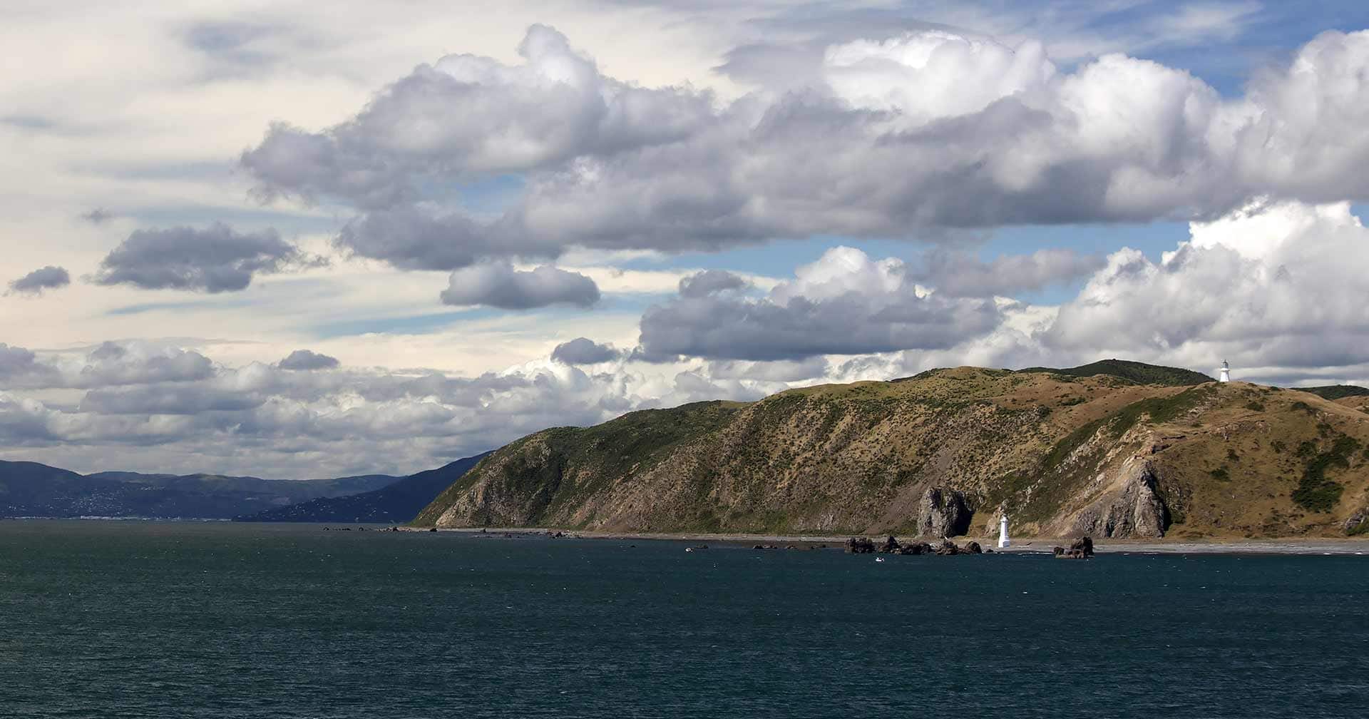 Wellington, New Zealand Pencarrow Station & The Storm Coast Excursion ...