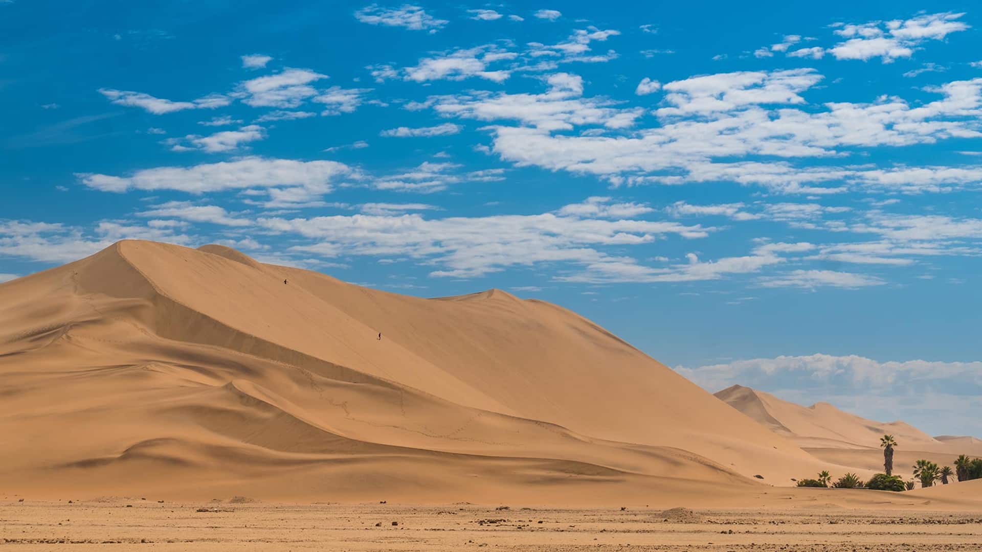 Walvis Bay, Namibia Township Tour Excursion | Norwegian Cruise Line