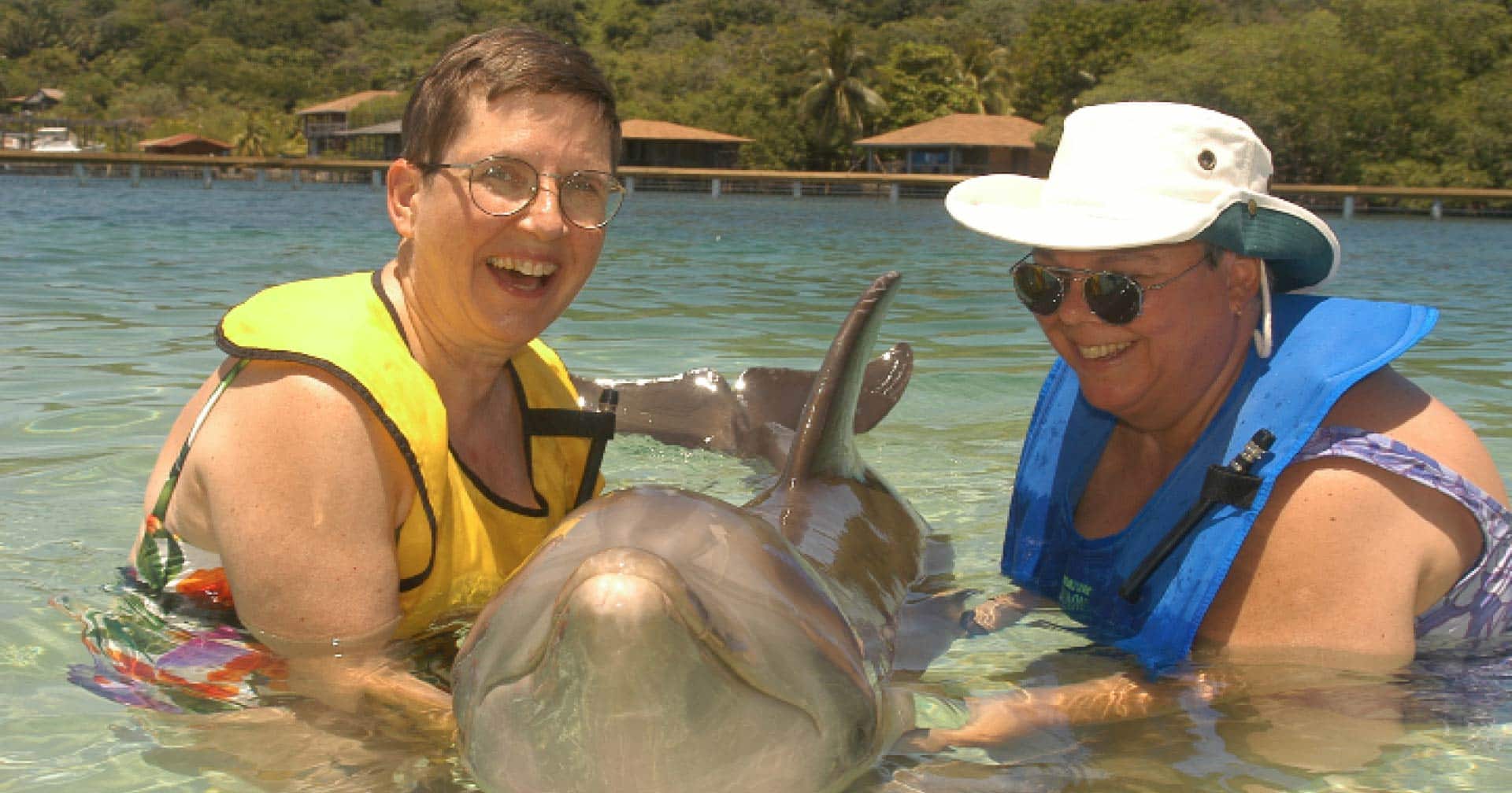 Roatán (Bay Islands), Honduras Dolphin Encounter Excursion | Norwegian ...
