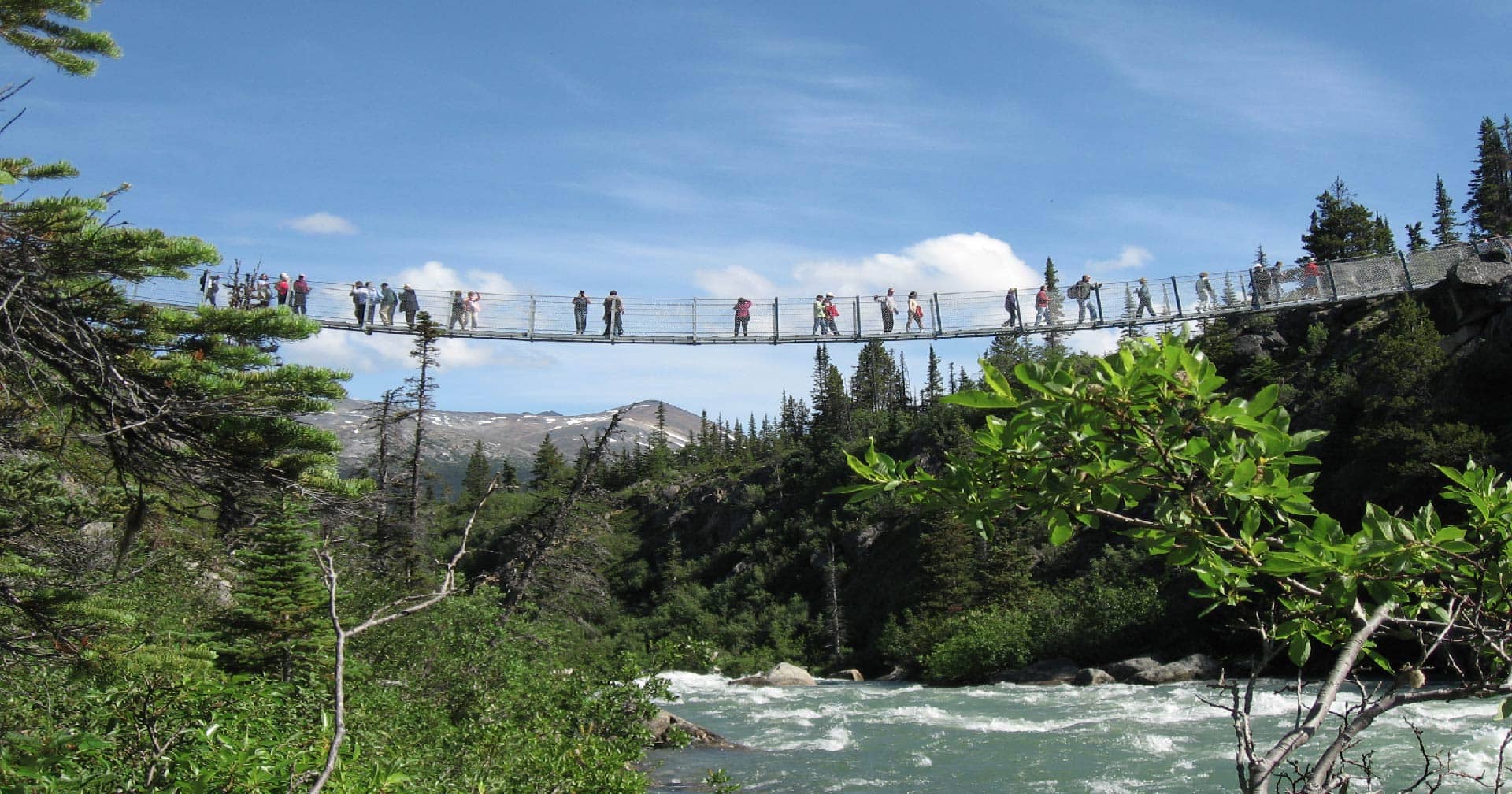 Skagway, Alaska White Pass Railway & Suspension Bridge Excursion ...
