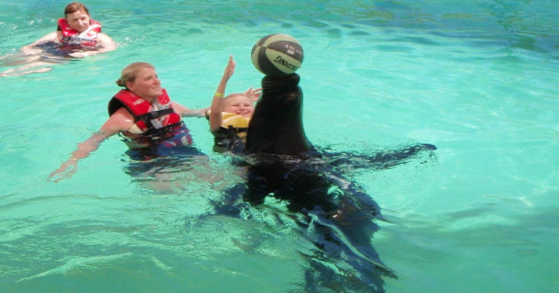 St. Thomas, US Virgin Islands Sea Lion Swim & Coral World Ocean Park ...